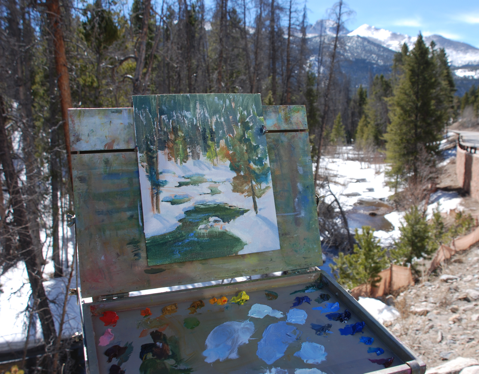 Cecy Turner: Drawing on Nature | NOAPS – An Alliance of Exceptional ...